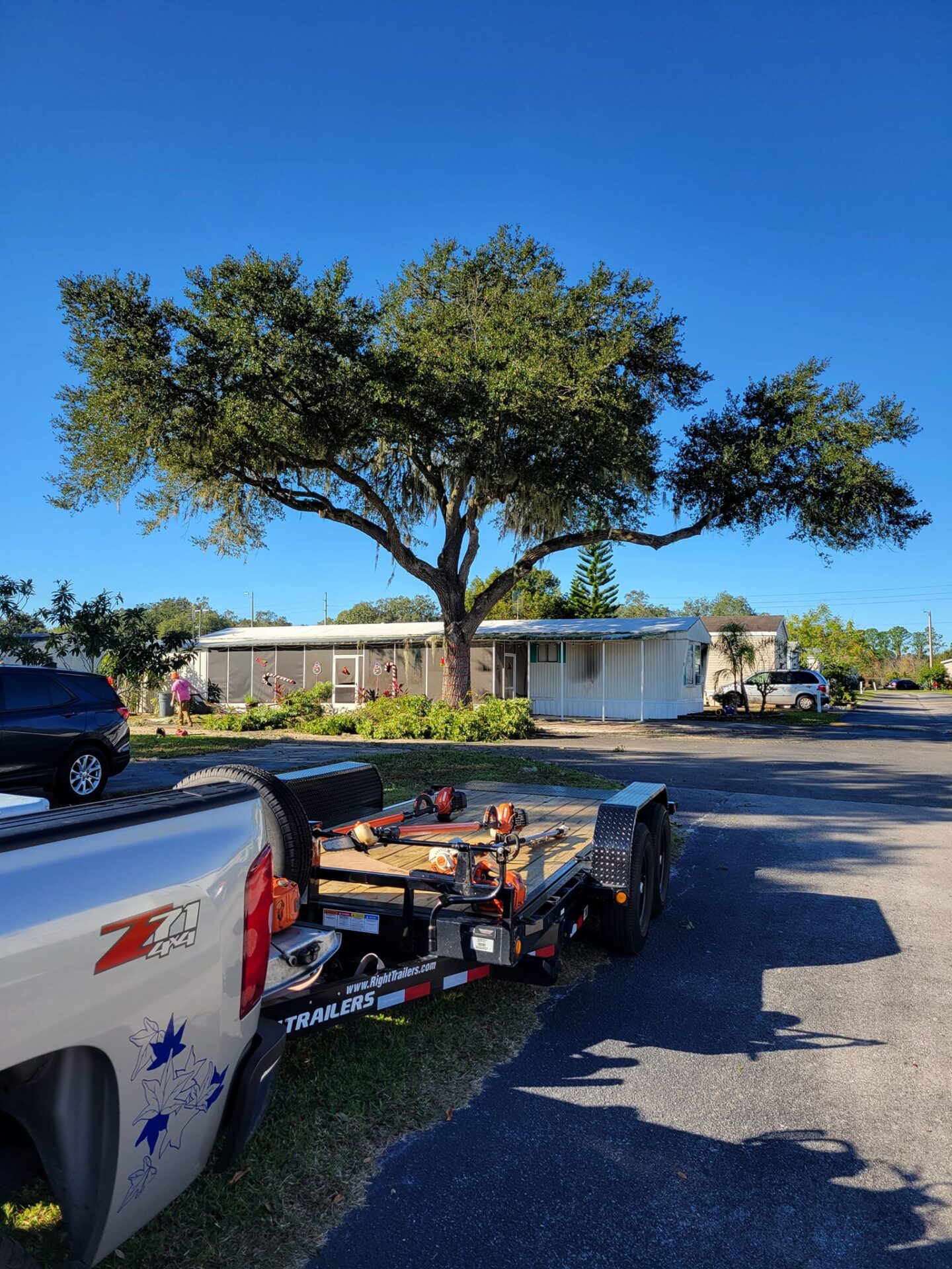 Treecare Services - Tree Trimming by Kevin Saxton Inc - FL