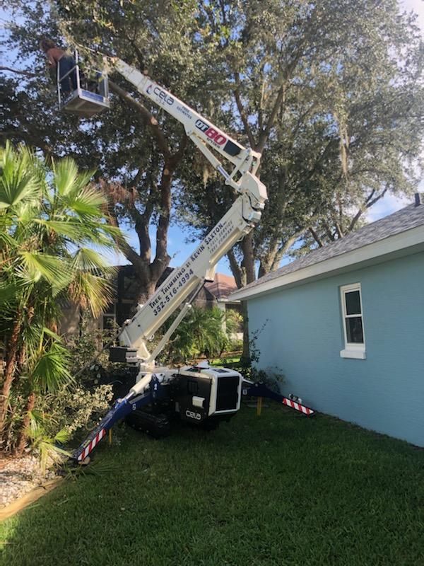 Treecare Services - Tree Trimming by Kevin Saxton Inc - FL
