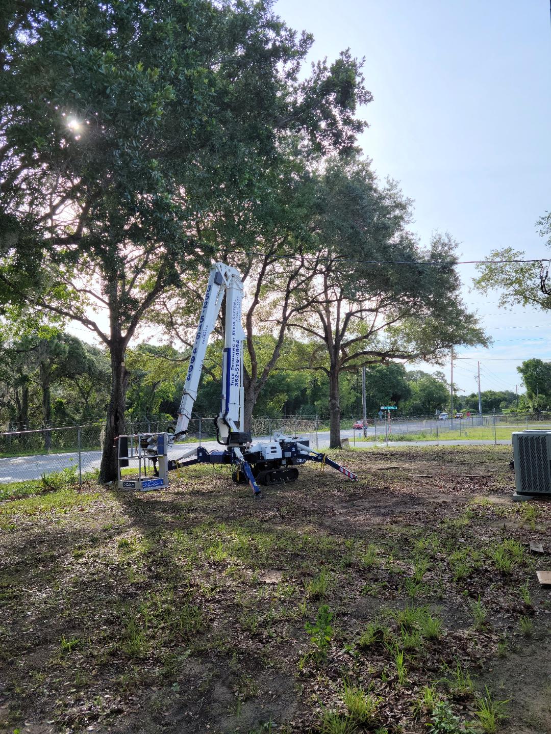 Treecare Services - Tree Trimming by Kevin Saxton Inc - FL